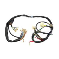 China Professional of 2.0mm Pitch JST Connector Automotive Cable Assemblies for Motorcycle for sale