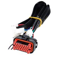 China Auto Horn OEM ODM Automotive ECU Plug Cable Assembly for Electronic Wire Harnesses for sale