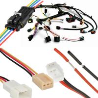 China Lead time 10-15 Days 21 Circuit Wiring Harness for Excavator Wire Harness in America for sale