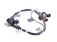 China Customized Electrical Wiring Harness for Motorcycle Audio System in Oceania Market for sale