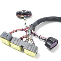 China Custom-made Motorcycle Wiring Harness for Auto Loom Assembly ECU Housing Connector for sale