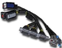 China Custom-made Motorcycle Wiring Harness for Auto Loom Assembly ECU Housing Connector for sale