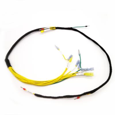China EURO Market Customized Electrical Tape Wire Harness Controller for MA Electric Trik for sale