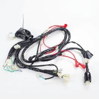 China TE 2 PIN Waterproof Automotive 16 GA Connector Perfect for Custom Wire Harness in Car for sale