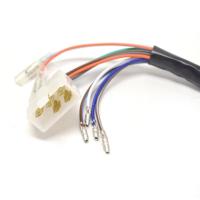China Custom Electronic Products Wire Harness with Copper Conductor and Professional Test for sale