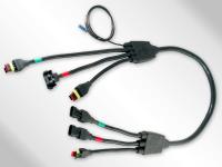 China Copper Electronic Terminal Molex Jst ROHS Material Wire Harness for East Asia Market for sale
