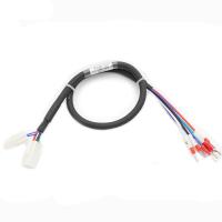 China Delphi 24 Pin Low Voltage Male to Female Car Audio Harness for Car Horn Wire Harnesses for sale