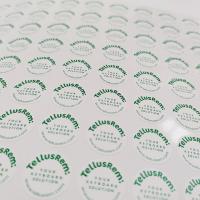 China Blank Printed Anti Counterfeit Labels Adhesive Eggshell Sticker Paper for sale