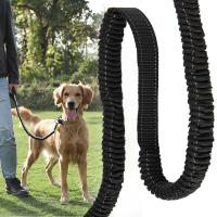 China 25mm Custom Dog Leash Webbing - High Tenacity Pet Strap Band with Reflective Elastic in 0.5-11cm Widths for sale