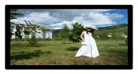 China High Resolution Wall Mounted Advertising Display , 43