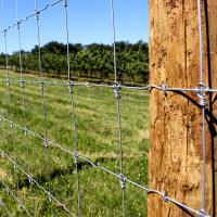 China Goat Farm Fixed Knot Field Fence Galvanized Stainless Steel for sale