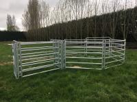 China Livestock Corral Fence Heavy Duty 12ft Square Pipe With Oval Rail for sale