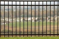 China Heavy Duty 8 Ft Wrought Iron Fence Panels Home Garden for sale