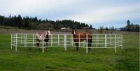 China Back Yard Garden Animal Husbandry Iron Temporary Corral Fencing for sale