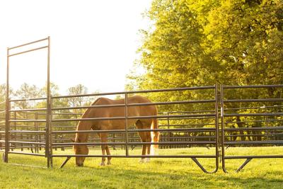 China Portable Corral Fence Galvanized Cattle Yard Horse Fence Panel Livestock Panels for sale