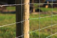 China High Tensile Fixed Knot Fence Grassland Deer Farm Hot Dipped Galvanized for sale