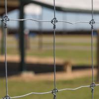China 1.2m High Sheep Cattle Fixed Knot Fence 50m 100m Farm Guard Field Fence for sale