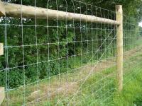 China Wood High Tensile Fixed Knot Wire Fencing For Cattle High Strength Galvanized for sale