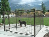 China 6'' X 10'' Extra Large Heavy Duty Dog Kennel House Outside Welded Wire Metal Mesh for sale