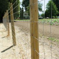 China Grassland High Tensile Fixed Knot Horse Fence Live Stock Hog For Agricultural Land for sale