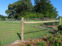 China Agriculture Land Fixed Knot Deer Fence for sale