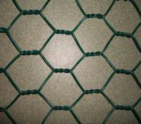 China Low Carbon Plastic Coated Chicken Wire - HH Galvanized Hexagonal Wire Netting with PVC Coating for sale