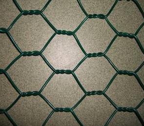 China Low Carbon Plastic Coated Chicken Wire - HH Galvanized Hexagonal Wire Netting with PVC Coating for sale