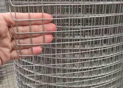 China 1/2 Inch Stainless Steel Welded Wire Mesh - 0.5-8mm Wire Diameter, SGS Certified for Industrial Applications for sale