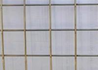 China 50x50mm Stainless Steel Welded Wire Mesh 3mm Wire Diameter for Zoo Fencing for sale