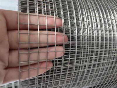 China 2mm Stainless Steel Welded Wire Mesh 14 Gauge 1/2