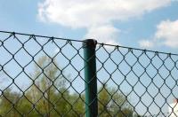 China Diamond Galvanized Chain Link Fence 15cm Mesh Size 5m Length with PVC Coating for Farm and Sports Applications for sale