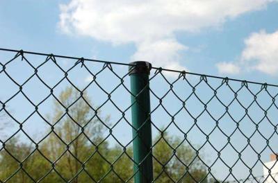 China Diamond Galvanized Chain Link Fence 15cm Mesh Size 5m Length with PVC Coating for Farm and Sports Applications for sale