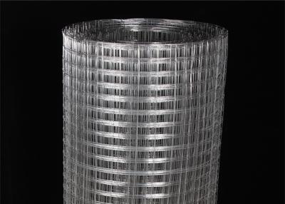 China Stainless Steel Welded Wire Mesh Fencing Rolls 1/4 Inch 304 Grade 1.0m Width 30m Length for sale