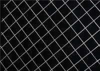 China Bird Cage Stainless Steel Welded Mesh Panels W2m Galvanized for sale