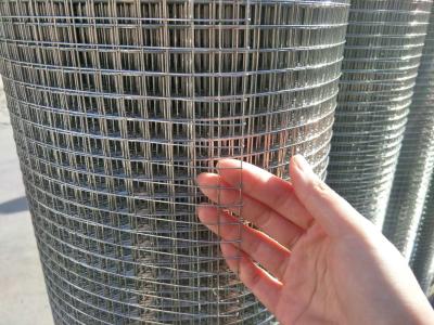 China 3/8 Inch 316 Stainless Steel Welded Wire Mesh Roll - 30m Length for Rabbit Cages & Garden Fencing for sale