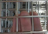 China 2x1m Stainless Steel Welded Wire Mesh Panel For Construction for sale