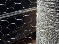 China 30m Electric Galvanized Hexagonal Wire Mesh 1-2m Width BWG16-BWG27 for Farm Fencing and Animal Enclosures for sale
