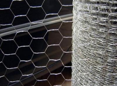 China 30m Electric Galvanized Hexagonal Wire Mesh 1-2m Width BWG16-BWG27 for Farm Fencing and Animal Enclosures for sale