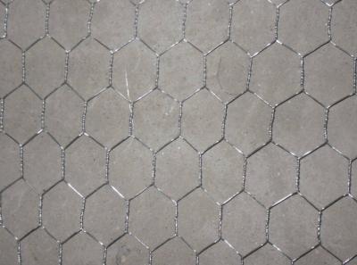 China HD Galvanized Stainless Steel Chicken Wire Mesh with BWG16-27 Wire Diameter and 1-4 Inch Hexagonal Holes for sale