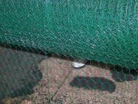 China 1/2 Inch PVC Coated Hexagonal Wire Mesh BWG27 for Farm Fencing - 1-2m Width, 30m Length for sale