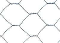 China 19mm Poultry Wire Mesh Fence with 50mm Hexagonal Holes - Galvanized Steel Animal Fencing 2m Width for sale