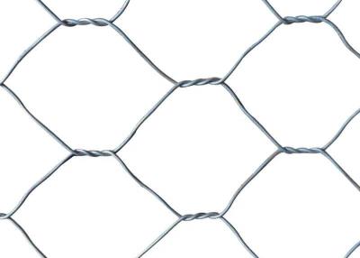 China 19mm Poultry Wire Mesh Fence with 50mm Hexagonal Holes - Galvanized Steel Animal Fencing 2m Width for sale