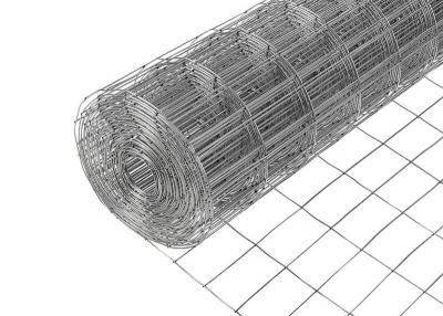 China 10 Gauge Galvanized Welded Wire Mesh 2x2cm 4x4cm 5x5cm Square Openings for Construction and Industrial Applications for sale