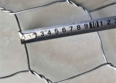 China BWG 21 3/4 Inch 19mm Galvanized Hexagonal Wire Mesh - 0.46-0.89mm Wire Diameter, 2m Width for sale