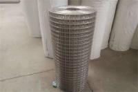 China 1/2 Inch x 1/2 Inch 0.6mm Stainless Steel Welded Wire Mesh - 1m x 30m Roll for sale