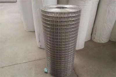 China 1/2 Inch x 1/2 Inch 0.6mm Stainless Steel Welded Wire Mesh - 1m x 30m Roll for sale