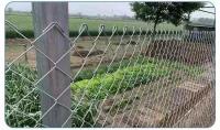 China 2m Height 1.5mm PVC Coated Chain Link Fence - Galvanized Iron Wire Mesh for Gardens and Sports Fields for sale