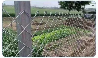 China 2m Height 1.5mm PVC Coated Chain Link Fence - Galvanized Iron Wire Mesh for Gardens and Sports Fields for sale