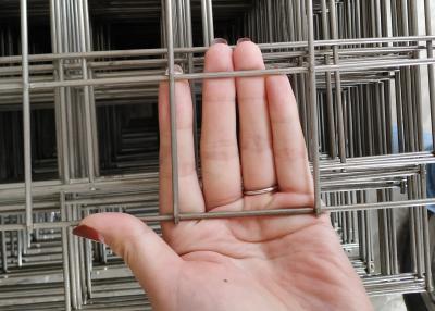 China Breeding Chicken Duck Galvanised Welded Mesh Balcony Protection Net for sale