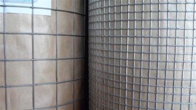 China 1/2 Inch Hole Size Electric Galvanized PVC Coated Welded Wire Mesh for Construction and Agriculture for sale